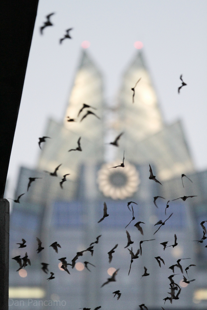 Interviews with Setians 2.2 – XeperAustin